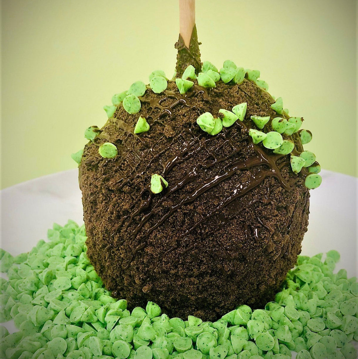 Gourmet Caramel Apples– Apples Gone Wild